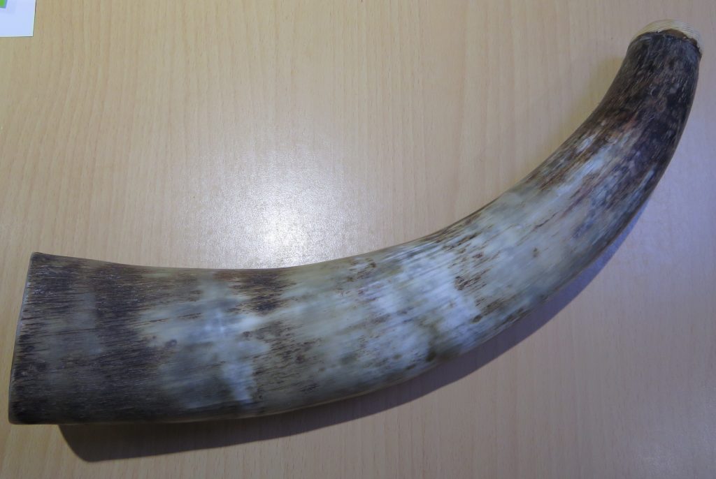 Making An Instrument From A Cow Horn | Assorted Things That I Have Made